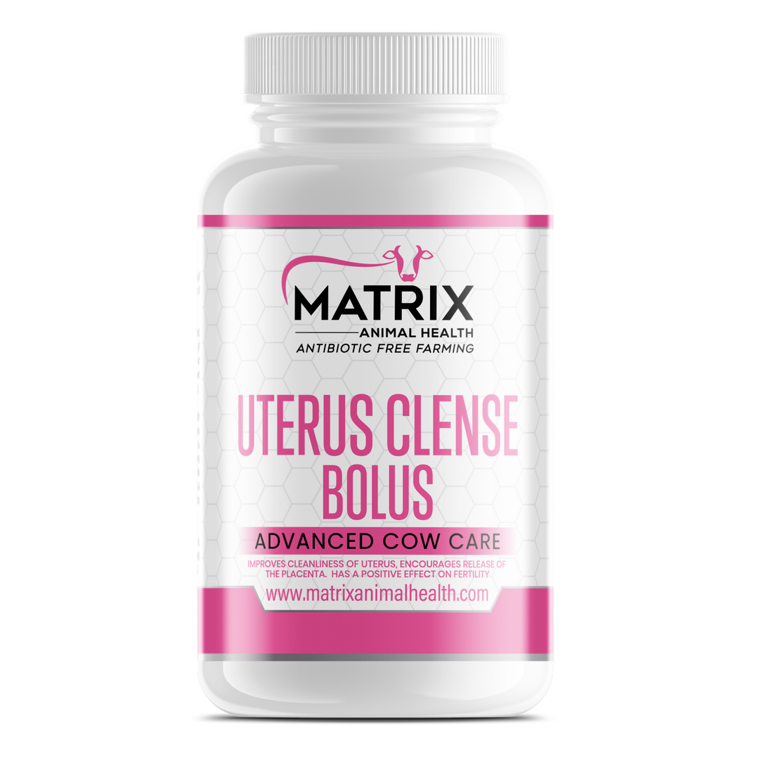 Cow – Matrix Animal Health